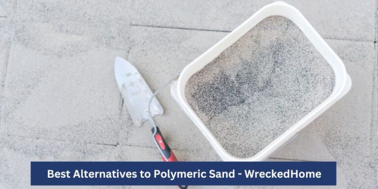 9 Best Polymeric Sand Alternatives