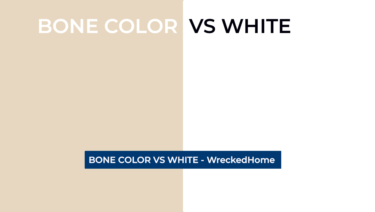 Bone Color Vs White: Choosing the Perfect Shade