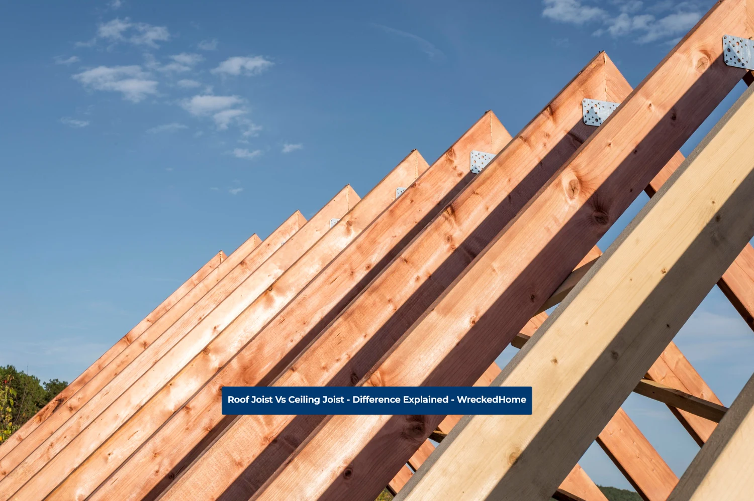 Roof Joist Vs. Ceiling Joist - Key Differences Explained