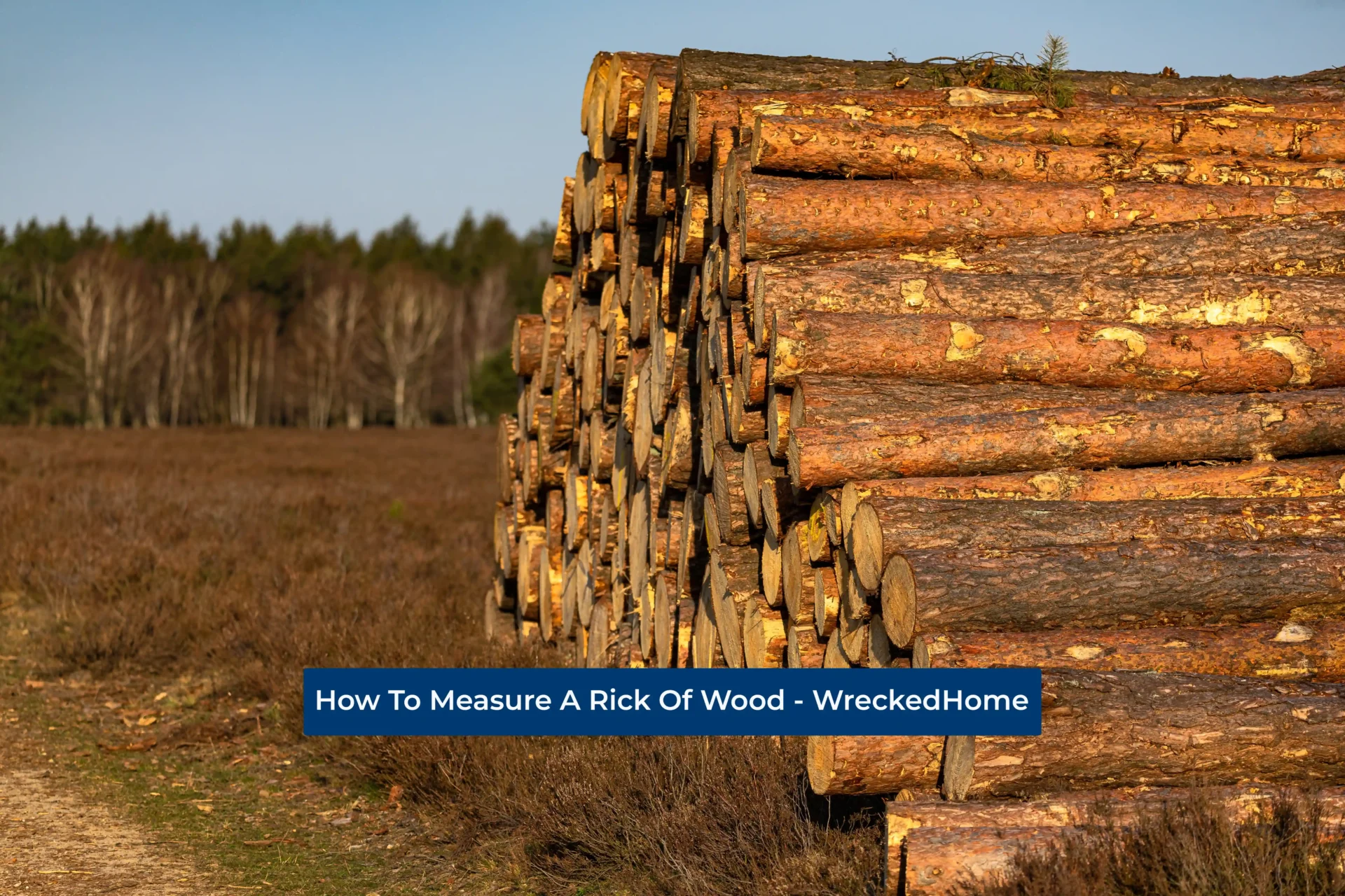 How To Measure A Rick Of Wood | Wrecked Home