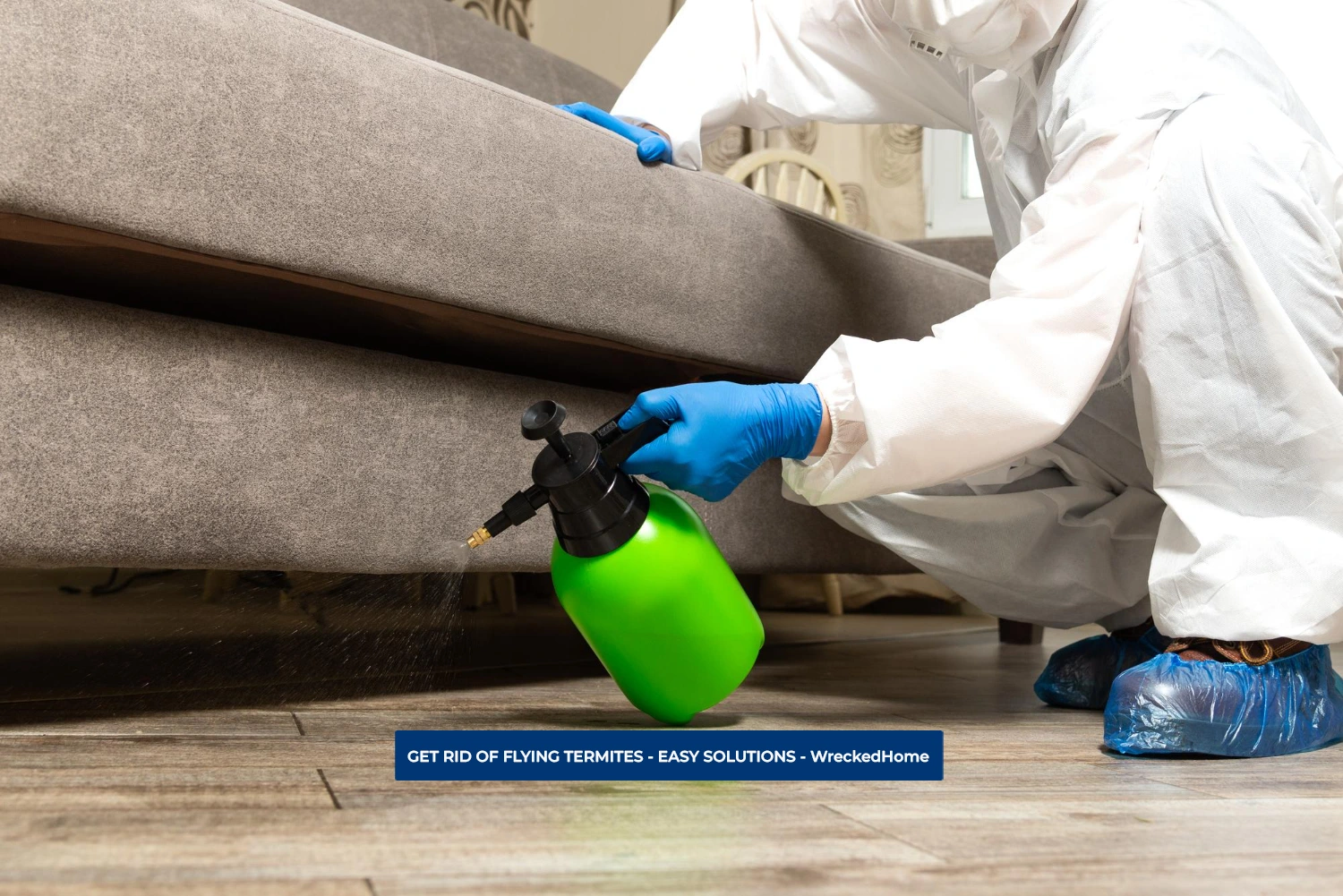 HOW TO GET RID OF FLYING TERMITES - EASY SOLUTION GUIDE 2023